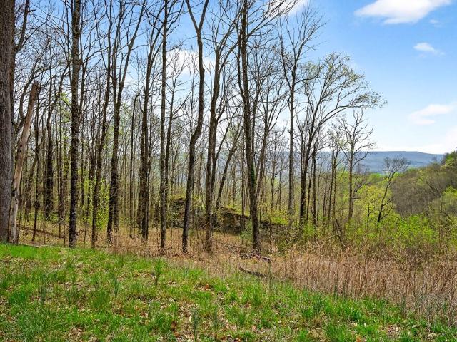 0 White Oak Flatt Road
