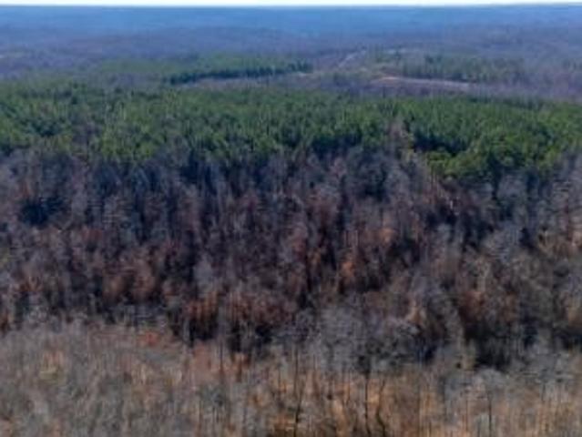 0 White Oak Rd