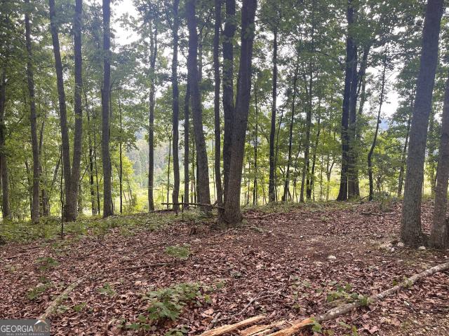 0 White Oak Road
