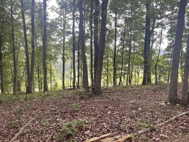 0 White Oak Road