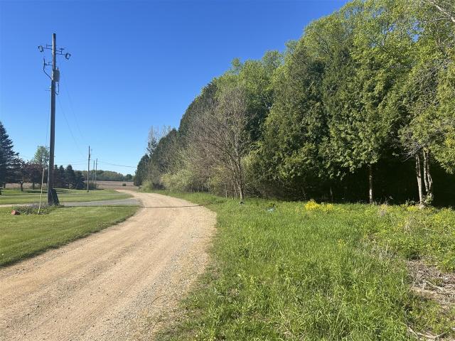 0 White Birch Trail