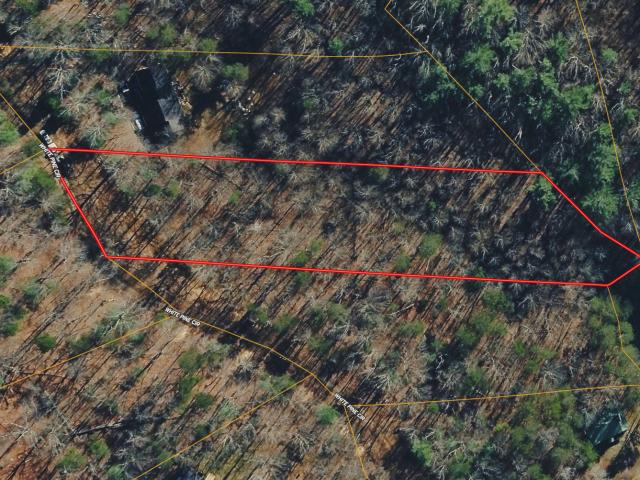 0 White Pine Creek