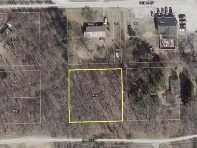 0 WHITE STREET, SAN PIERRE, IN 46374 Vacant Land For Sale MLS.