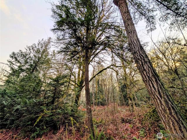 0 Whiteman Rd SW, Lakebay, WA 98351 | MLS #2472 | Compass