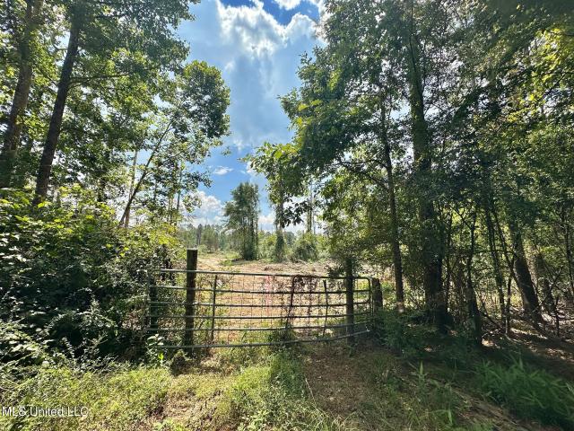 0 Whitetown Ln, Hazlehurst, MS 39083 | MLS #4126 | Compass