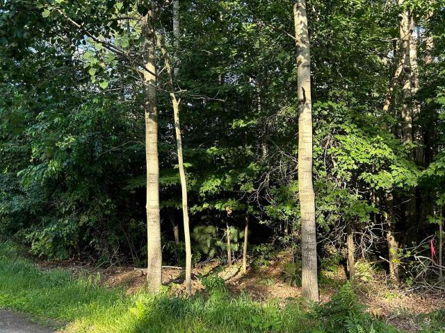 0 Whitetail Court