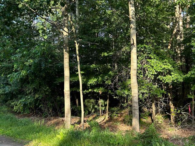 0 Whitetail Court Lot: 165