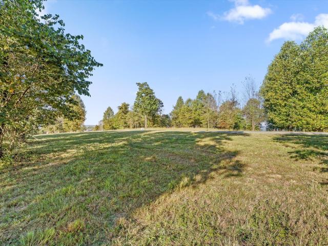 0 Whitetail Lot 133 Way
