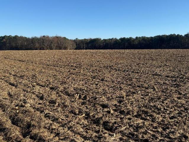 0 Whitfield Rd, Elko, GA 31025 | MLS #263528