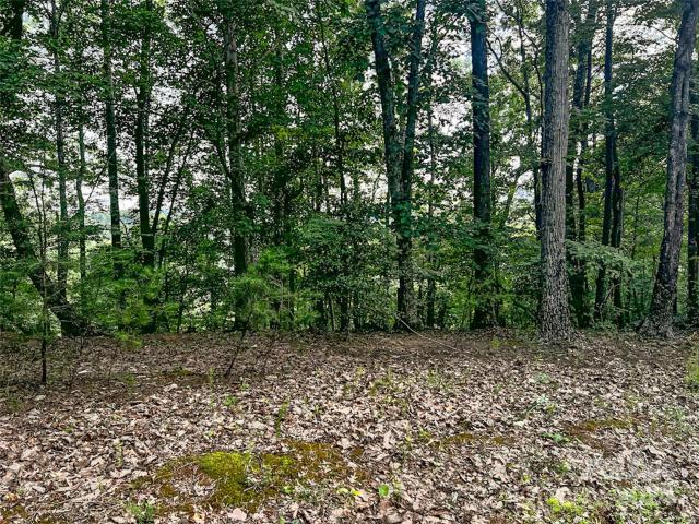 0 Whitney Blvd, Unit LOT 124, Lake Lure, NC 28746 | MLS #4160