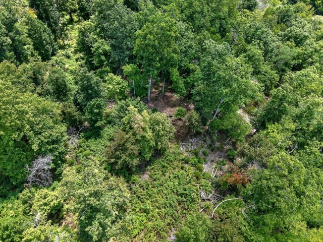 0 Wilmouth Creek Rd
