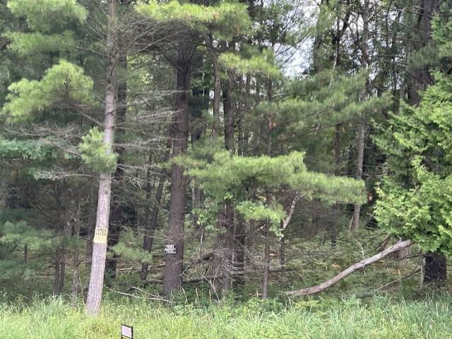 0 Wilber Road