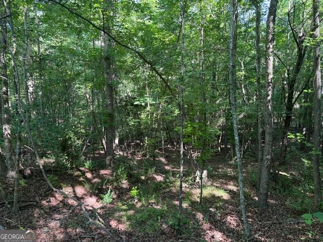 0 Wildwood Lane
