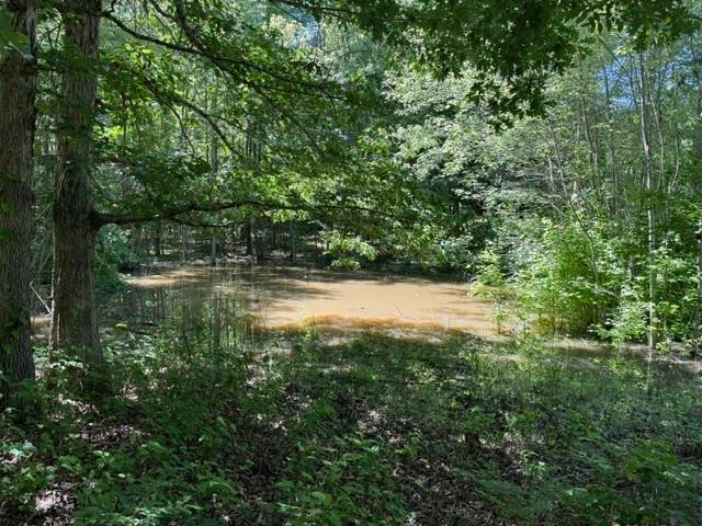 0 Wildwood Rd
