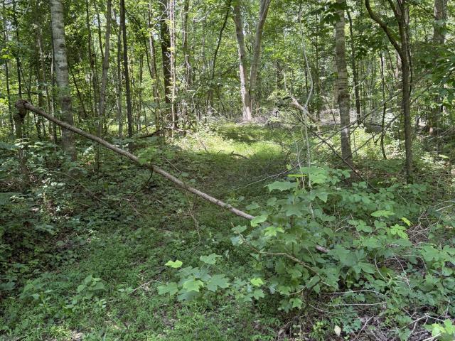 0 Wilderness Lane