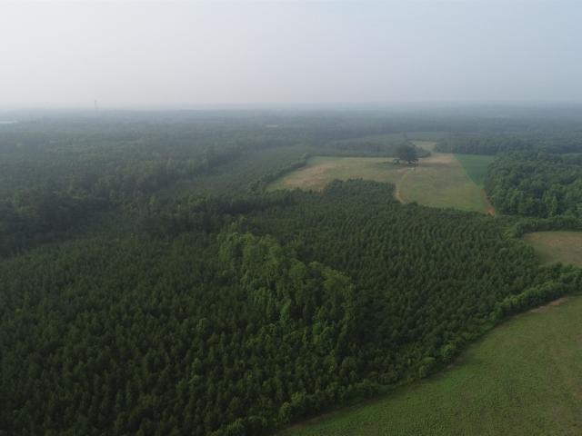 0 Wiley Rd, Spring Hope, NC 27882 | MLS #2520 | Compass