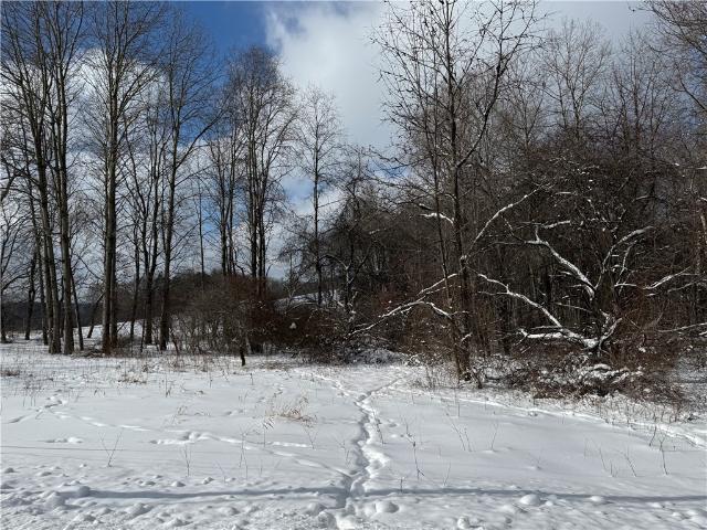 0 Wilgus Rd