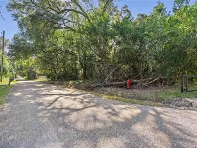 0 WILKINS ROAD, MOBILE, AL 36618