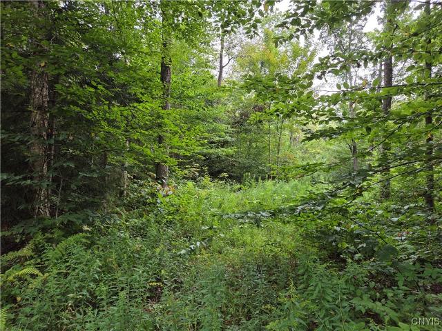 0 William Ernst Rd, West Leyden, NY 13489 | MLS #S1676 | Compass