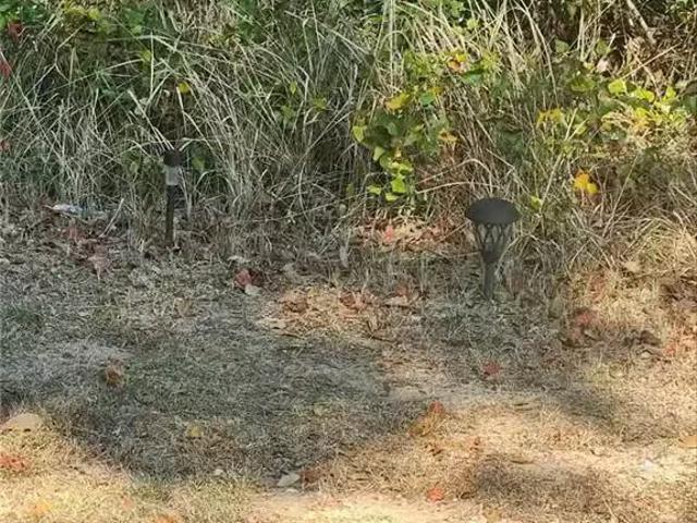 0 WILLIAMS AVENUE, SATSUMA, AL 36572 Vacant Land For Sale MLS.