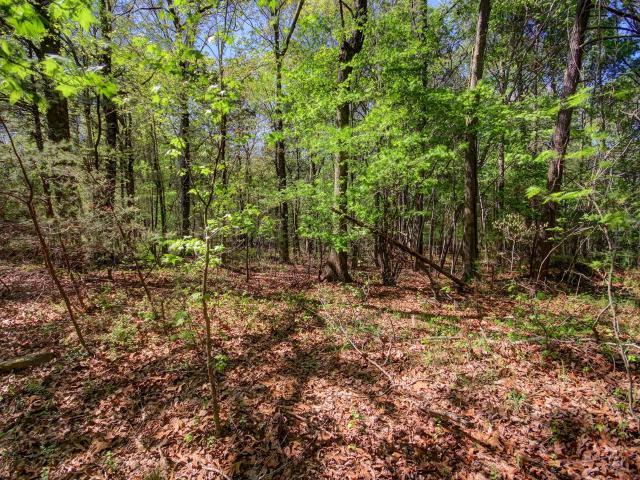 0 Willie Duncan Rd, Siler City, NC 27344 | MLS #10121