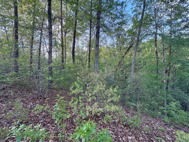 0 Willow Top Ln, Unit 315, Lake Lure, NC 28746 | MLS #4131