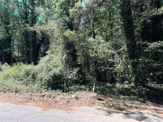 0 Willow Trail SW