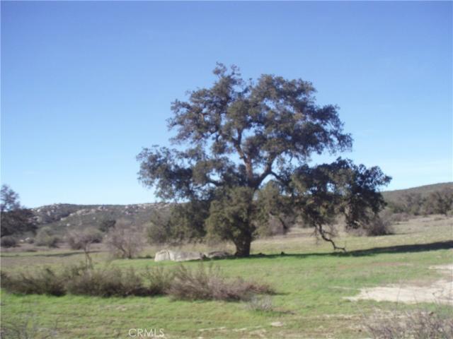 0 Willow Canyon Road