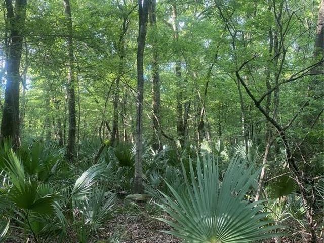 0 Willow Dr, Conroe, TX 77302 | MLS #23621