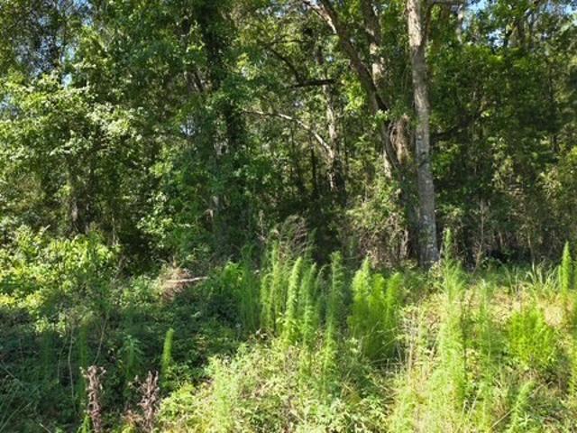 0 Willow Lake Road