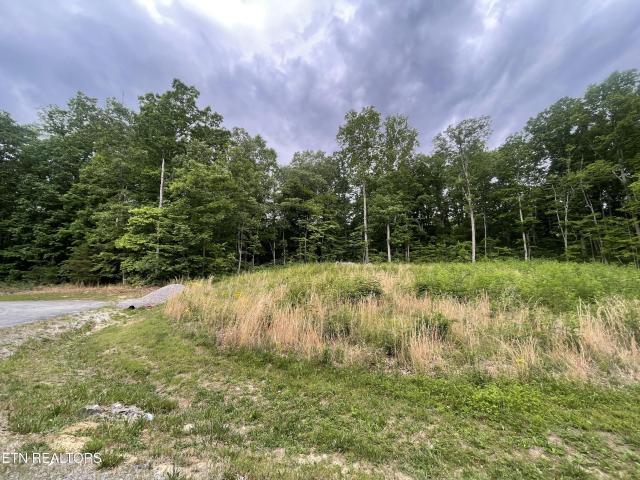 0 Willow Ridge Drive