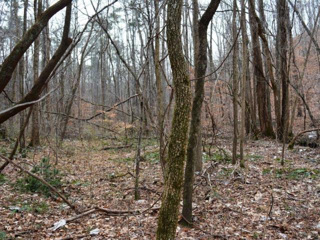 0 Willow Springs Road