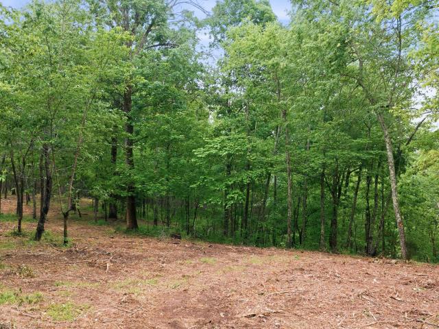 0 Willow Springs Road