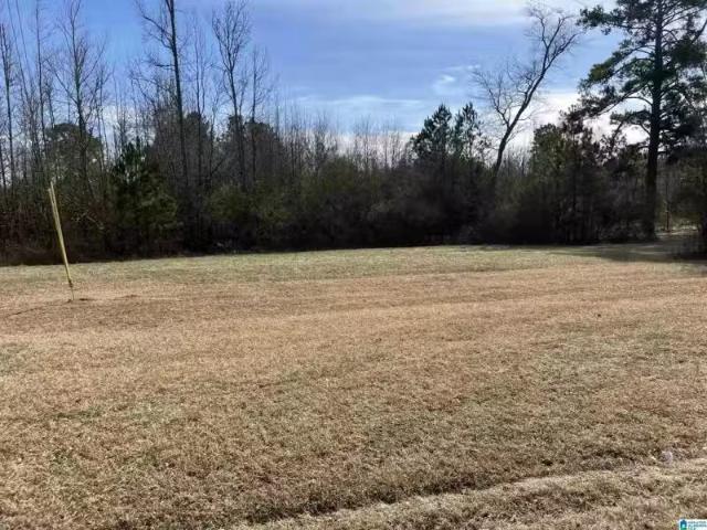 0 WILSON CHAPEL ROAD # 3, ALTOONA, AL 35952 Vacant Land For Sa.