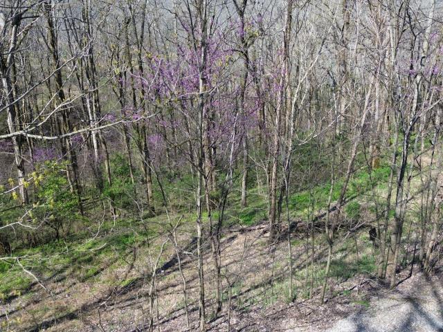 0 Wilson Cir