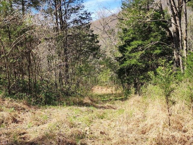 0 Wilson Hollow Rd