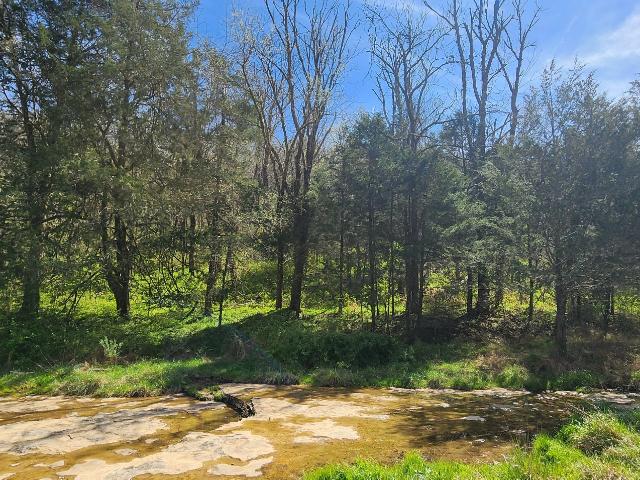 0 Wilson Hollow Rd, Liberty, TN 37095 | MLS #3159