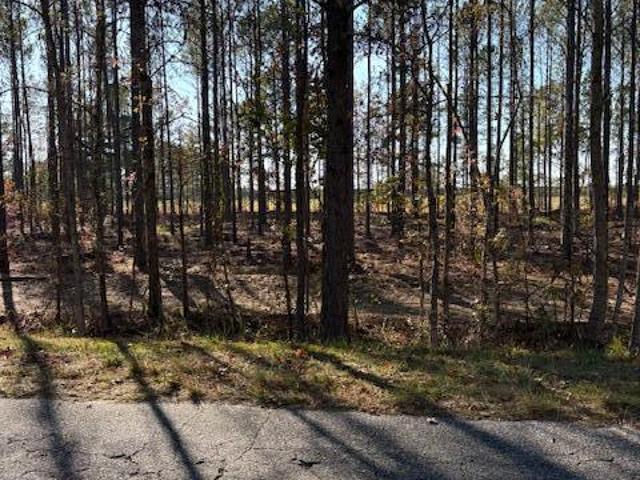 0 Wilson Landing Road
