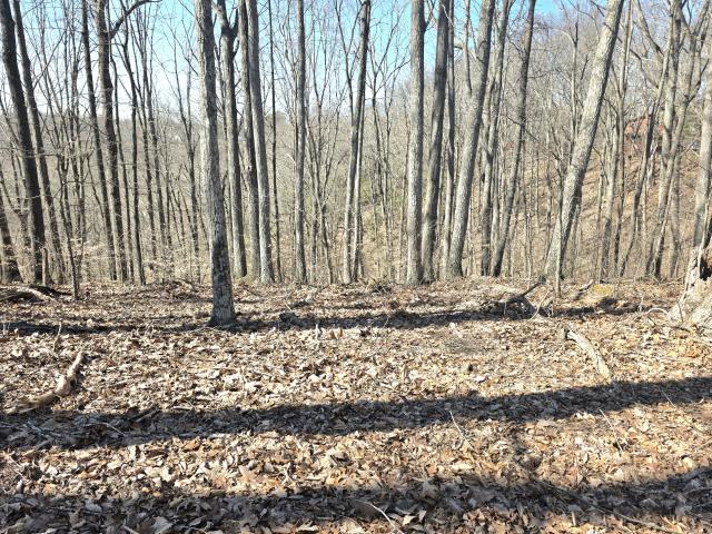 0 Windy Cut St, Dowelltown, TN 37059 | MLS #2810