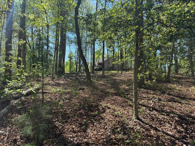 0 Windfield Cir, Blue Ridge, GA 30513 | MLS #429805 | Compass