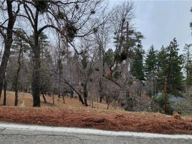 0 Winding Way, Running Springs, CA 92382 | MLS #IG25074