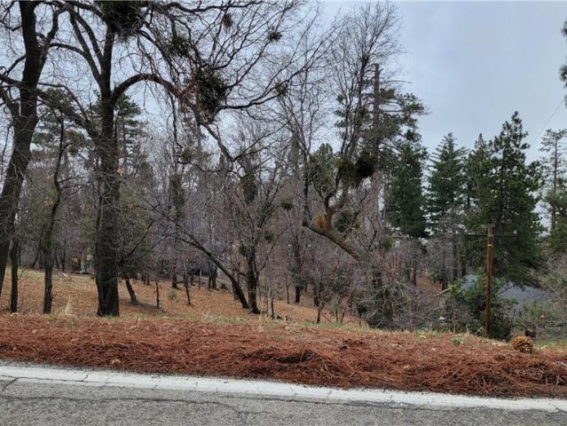 0 Winding Way, Running Springs, CA 92382 | MLS #IG25074