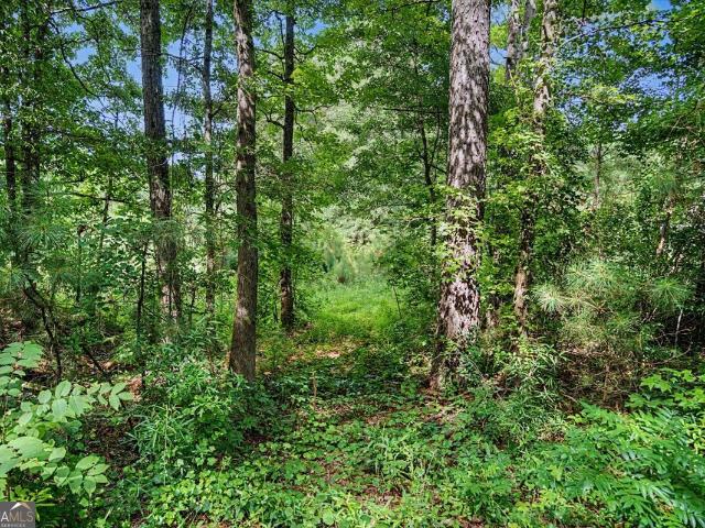 0 Windom Road