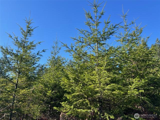 0 Winter Rd, Winlock, WA 98596 | MLS #2375 | Compass
