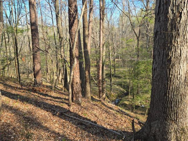 0 Woody, Oxford, NC 27565 | MLS #10157
