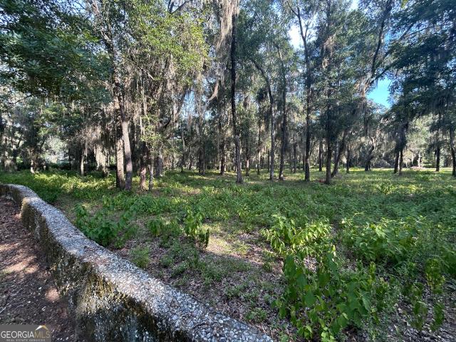 0 Wood Stork Drive