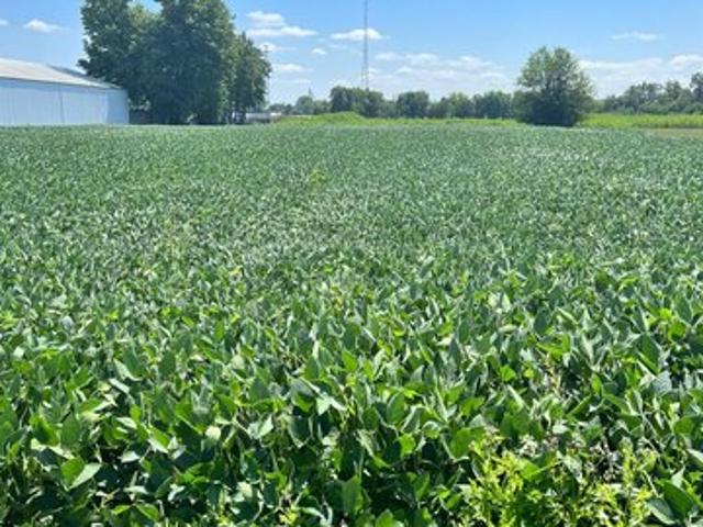 0 Wood Rd Lot 4, Rensselaer, IN 47978