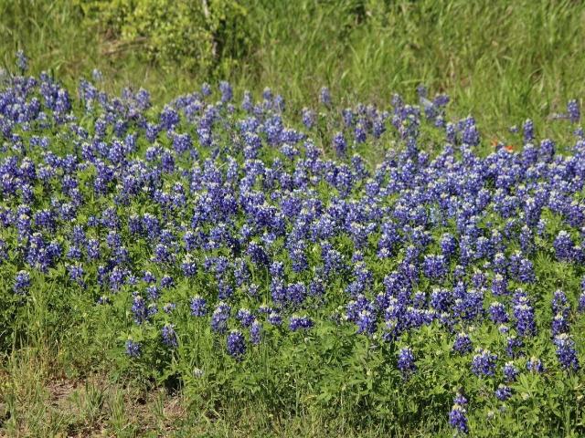 0 Wooded Reserve Court