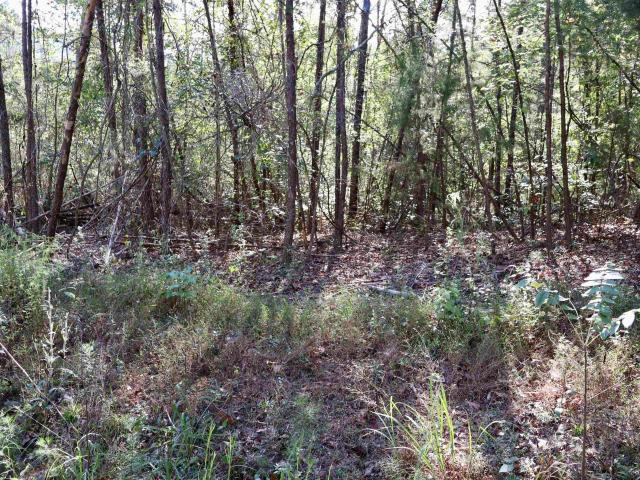 0 Woodhaven Drive # 151
