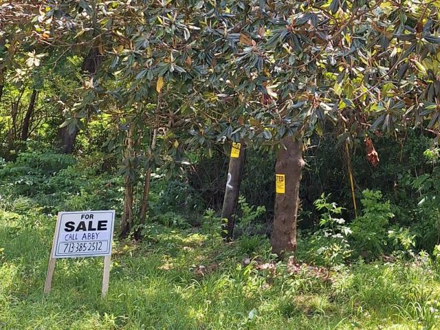 0 Woodland Lakes Drive